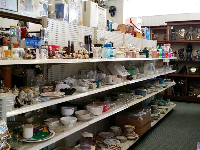 Dish paradise! From grandma's china to quirky mugs, these shelves hold the stories of countless family dinners past.