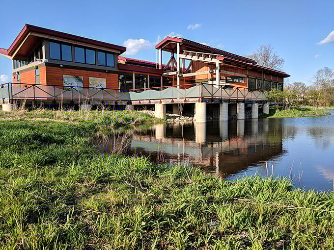 Knoch Knolls Nature Center perches over the water like a luxury treehouse for grown-ups who still appreciate a good view with their nature lessons.