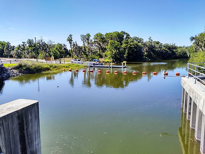 Florida living means water is never far away—this peaceful boat ramp offers fishing and wildlife viewing that beats any cable TV nature show.