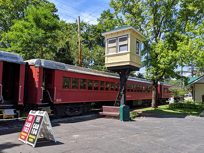 Vintage railcars ready for adventure—because sometimes the best way to see history is from a moving window seat.