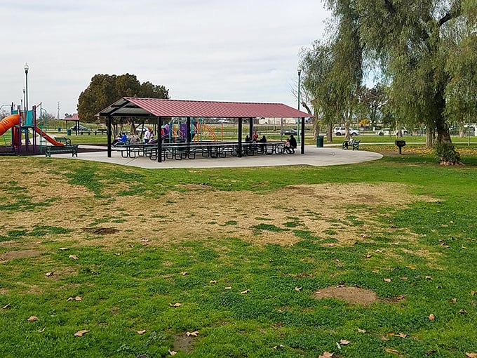 Lindsay City Park offers simple pleasures—picnic tables, playground equipment, and open spaces where kids can experience the forgotten joy of actually running around outside.