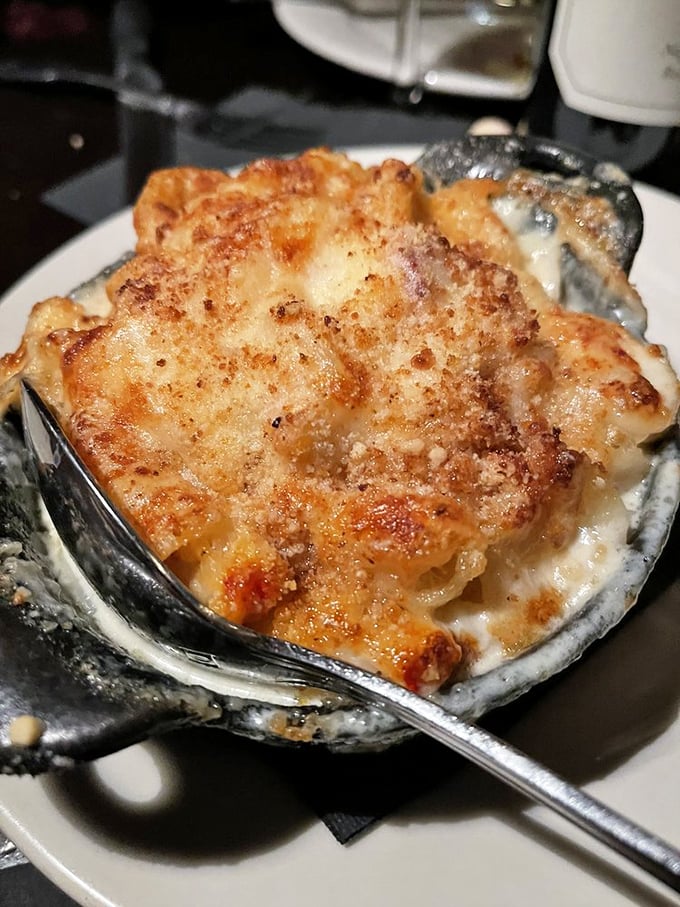 The lobster mac and cheese isn't just comfort food—it's therapy in a dish, with cheese sauce so rich it should have its own tax bracket.