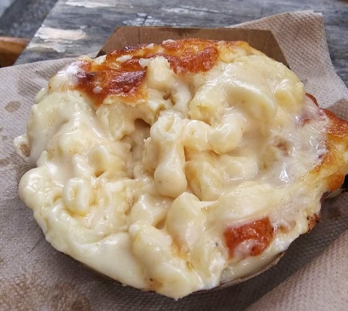 Mac and cheese that makes you question your life choices. Why did I wait this long to experience this molten masterpiece of dairy devotion?