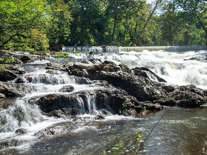 Fishkill Creek's cascading waters provide Beacon's soundtrack—a refreshing alternative to Manhattan's honking horns and perpetual sirens.