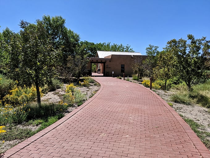 Nature's front porch awaits at Mesilla Valley Bosque State Park, where brick pathways lead visitors through a desert oasis teeming with southwestern wildlife.