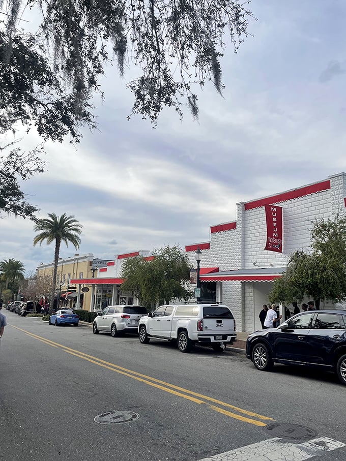 The Modernism Museum proves that Mount Dora isn't just stuck in the Victorian era—it's where contemporary design finds a surprising home among the Spanish moss.