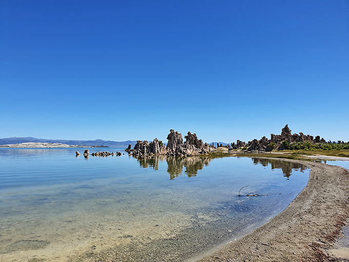 Nature's sculpture garden – these otherworldly tufa towers at Mono Lake look like they're auditioning for roles in the next sci-fi blockbuster.
