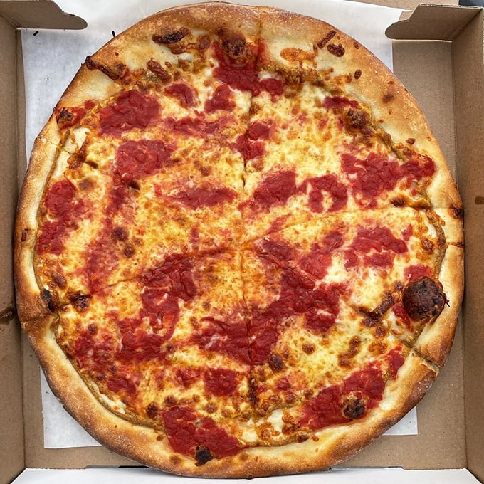 Behold the tomato pie in its natural habitat! The sauce-on-top approach isn't just tradition—it's revelation. That perfectly charred crust is the stuff of pizza dreams.
