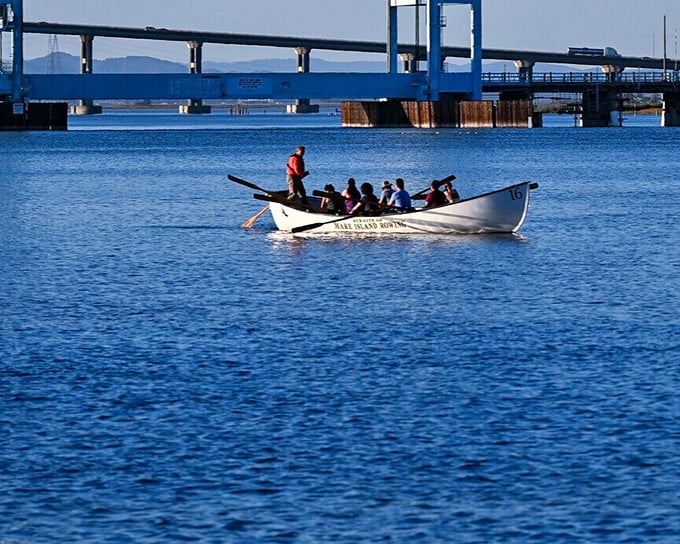 Rowing across the sparkling Napa River – where recreation meets relaxation. This waterway is Vallejo's liquid asset for active retirees.