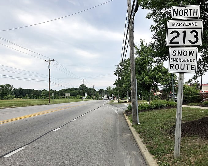 Maryland Route 213 – the road that brings you to Chestertown's doorstep, where even the "Snow Emergency Route" sign seems to whisper, "Take it easy, you're almost there."