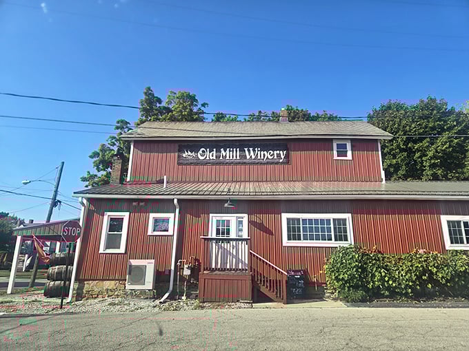 Old Mill Winery stands as a crimson beacon for wine lovers. Like your favorite cardigan – rustic, comfortable, and exactly what you need after a long day.