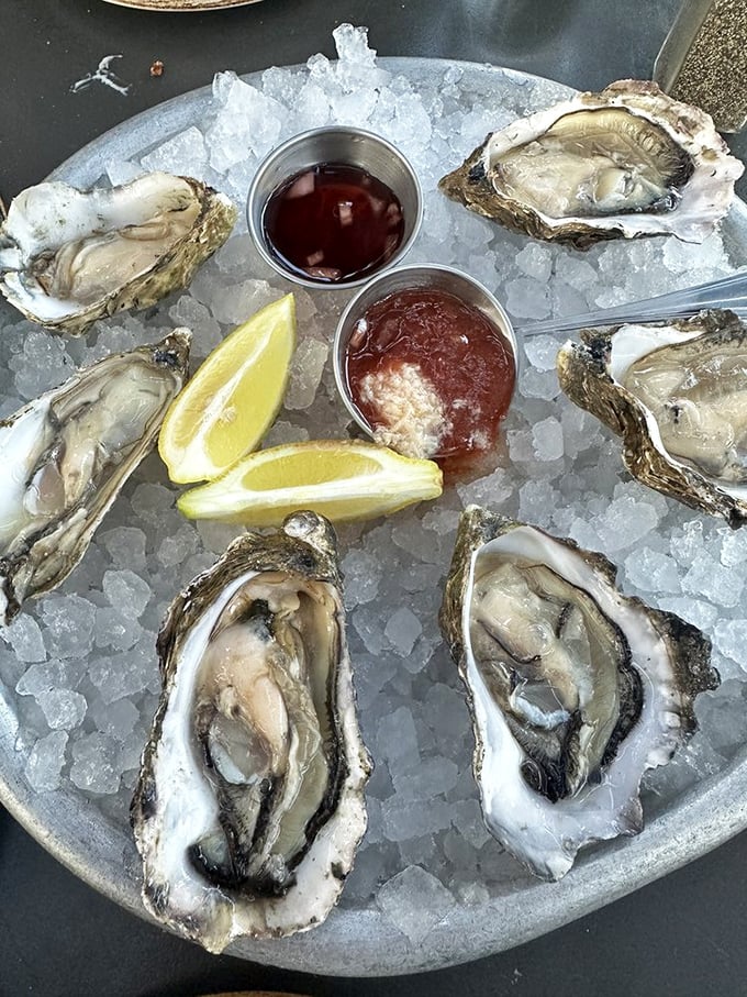Oysters on the half shell—nature's perfect appetizer. These glistening beauties arrive with classic accompaniments, ready to transport you straight to ocean bliss.