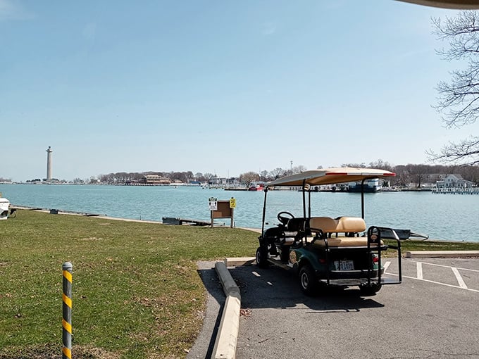 Island transportation at its finest! Golf carts—the unofficial mascot of Put-in-Bay—offer the perfect way to explore before settling at Oak Point.