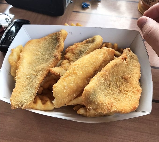 Golden-fried perch fillets nestled against crispy fries—a perfect marriage that proves simplicity is the ultimate sophistication when it comes to fresh lake fish.