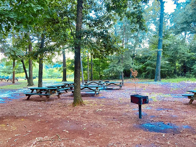 Picnic tables scattered beneath a canopy of pines—nature's dining room where even a simple sandwich tastes like gourmet fare.