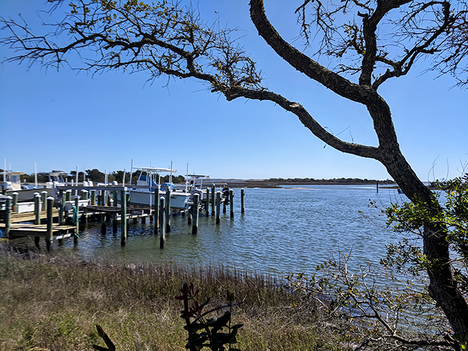 Where boats meet wilderness—Rachel Carson Reserve offers front-row seats to nature's daily performance, no tickets required.
