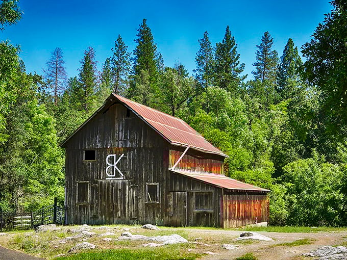 This weathered barn with its rusty roof tells stories of California's agricultural past better than any history book could.