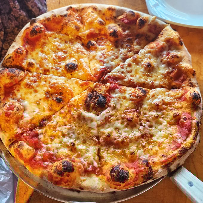 This isn't just pizza – it's edible art with a PhD in flavor. Those char marks are nature's way of saying "you're welcome."