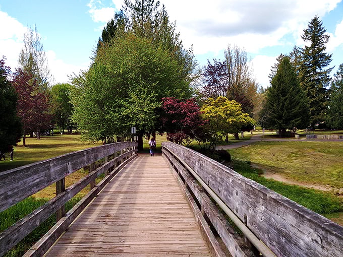 This wooden footbridge at Schaefer County Park doesn't just connect two points—it bridges everyday life to moments of tranquility among Washington's natural splendor.