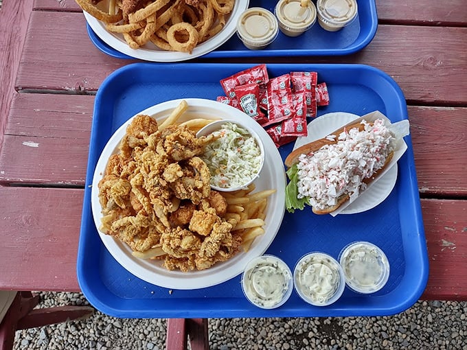 The holy trinity of New England dining: golden fried clams, creamy coleslaw, and a lobster roll that would make Neptune himself swim ashore.