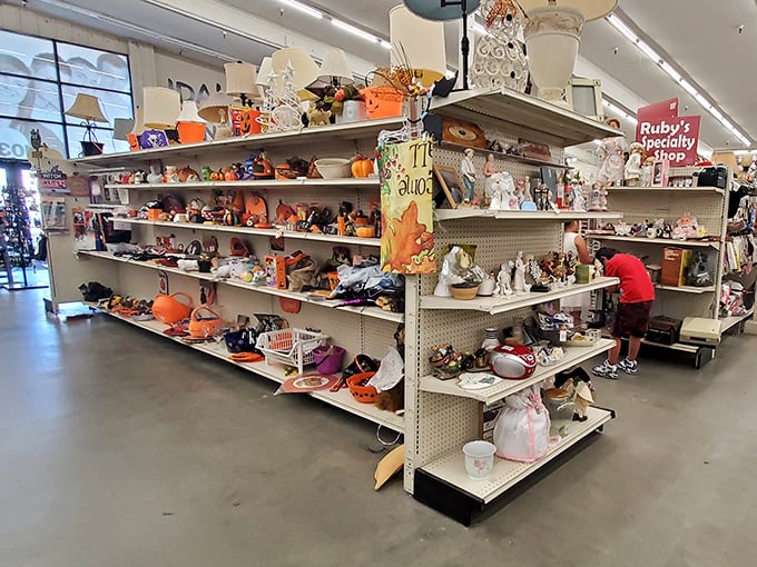 Fall decorations and collectibles create a seasonal treasure trove. One person's discarded pumpkin figurine becomes another's perfect autumn centerpiece.