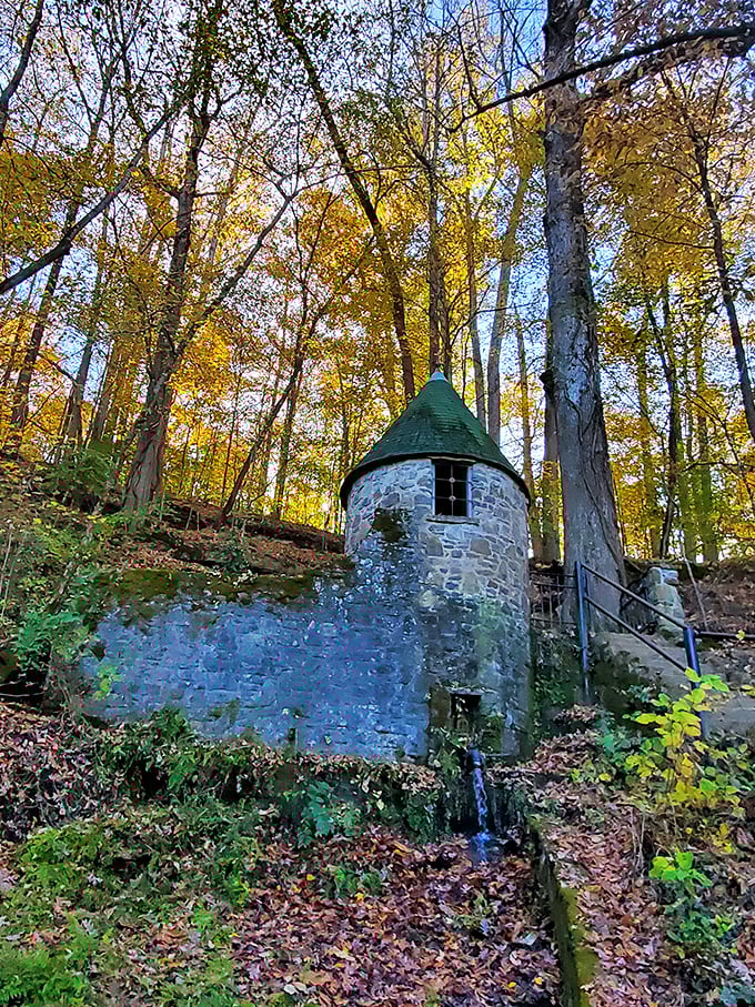 The historic Spring Castle stands like a fairy tale relic among fall foliage. Rapunzel could've done worse for real estate.