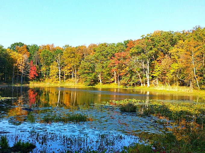 Fall fashion week at Chain O' Lakes outshines any runway show. The trees dress in their seasonal best, creating a double feature with their reflections.