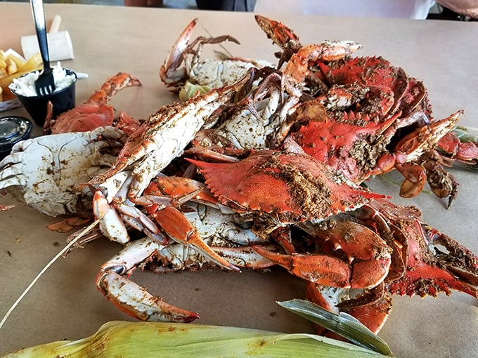 Behold the main event: steamed crabs dusted with spice, waiting to surrender their sweet meat after a satisfying battle of mallet versus shell.