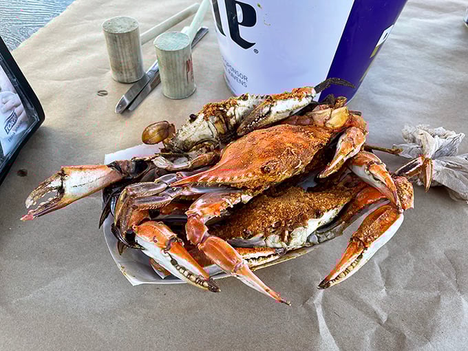 This isn't just a crab—it's a Maryland institution on a paper-lined table. The bright orange shell dusted with spices is Baltimore's version of edible art.