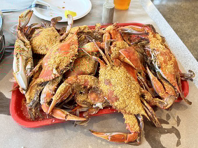 Behold the Old Bay-dusted beauties that launched a thousand road trips. These steamed Maryland blue crabs aren't just food—they're an interactive experience worth every messy minute.
