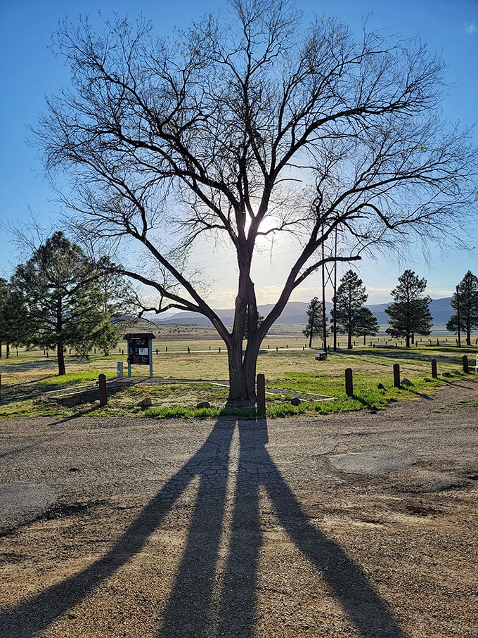 At Storrie Lake State Park, even the trees cast impressive shadows, offering outdoor recreation without the tourist-trap prices of better-known destinations.