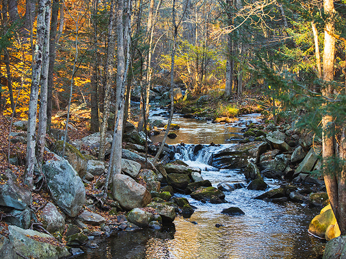 Sunnybrook State Park's gentle cascades offer the kind of soundtrack money can't buy – nature's spa treatment without the awkward small talk or hefty bill.