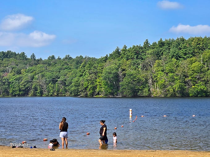 Burr Pond's beach offers summer swimming without the saltwater sting or parking wars of coastal Connecticut.