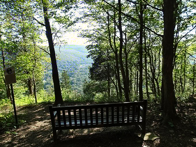 Nature's therapy session costs exactly zero dollars here. This bench offers million-dollar views that actually leave money in your retirement account.