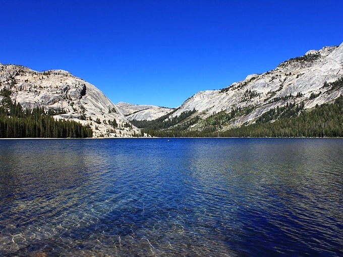 Tenaya Lake—nature's infinity pool. The water so clear you can count pebbles on the bottom while granite domes stand guard like ancient sentinels.