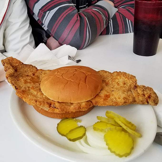The legendary pork tenderloin – a golden-brown masterpiece that makes the bun look like it's playing a supporting role in an Iowa blockbuster.