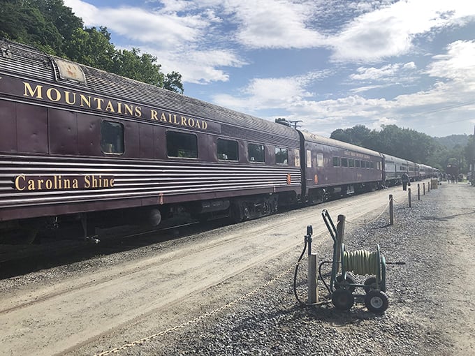 The "Carolina Shine" car gleams in the mountain sunlight. This elegant passenger car whispers stories of a more glamorous era of travel.