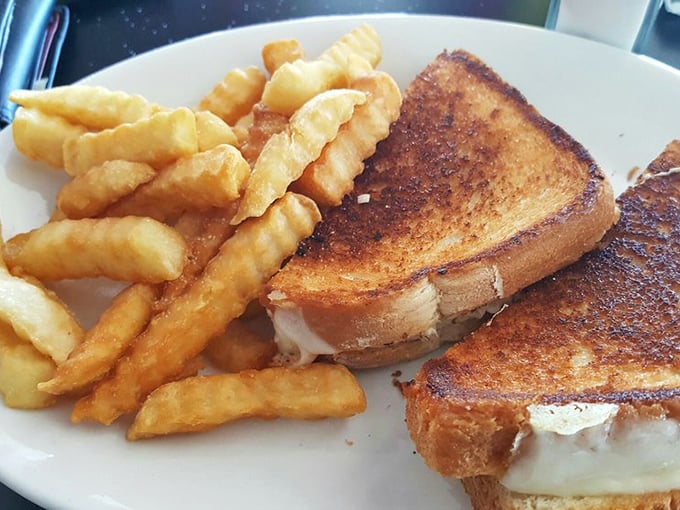 Behold the star of our show: a tuna melt that achieves that perfect golden exterior while maintaining its gooey, cheesy soul. Those crinkle-cut fries aren't just sidekicks—they're co-stars.