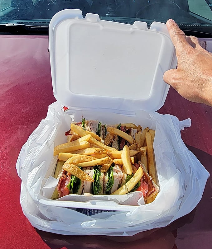 Road trip perfection in a takeout box—this turkey club sandwich and fries combo is the kind of portable feast that makes dashboard dining feel downright civilized.