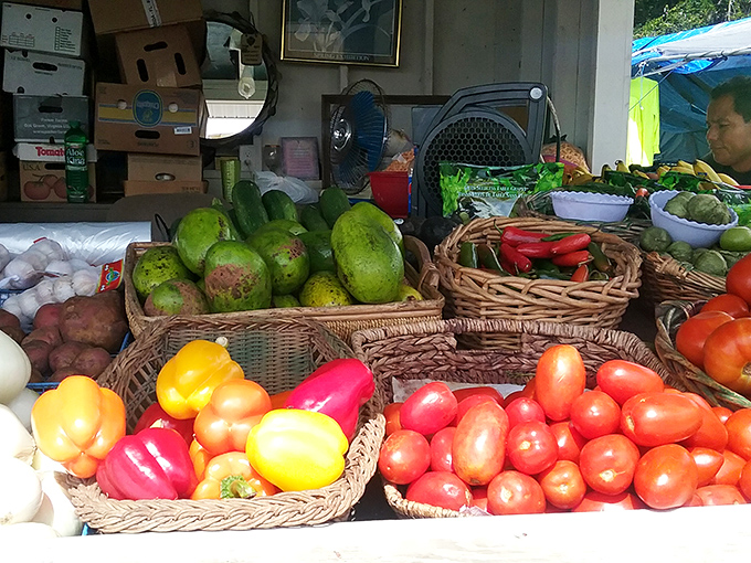Nature's color palette on full display. These farm-fresh peppers and tomatoes haven't spent two weeks in a refrigerated truck—and your taste buds will know the difference.