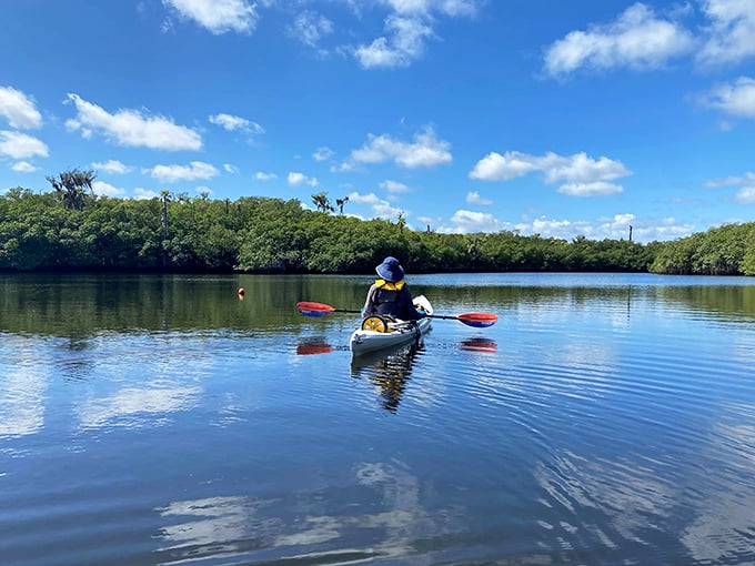 Gliding through mirror-like waters, this kayaker experiences Florida's wilderness from the best seat in the house—no reservations required.