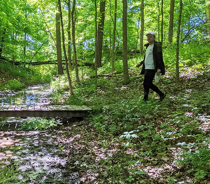 Woodland boardwalks lead to discoveries that GPS can't navigate – pure analog exploration.