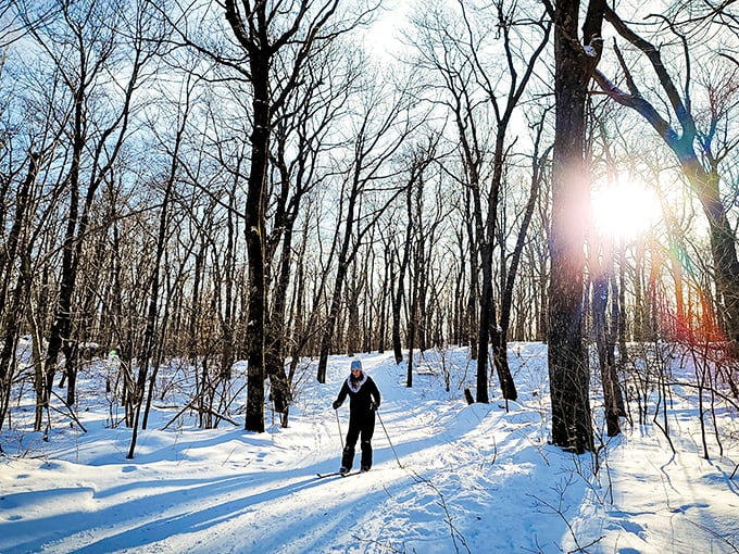 Winter transforms ordinary trails into magical pathways. This cross-country skier isn't just exercising – they're starring in their own snow globe.