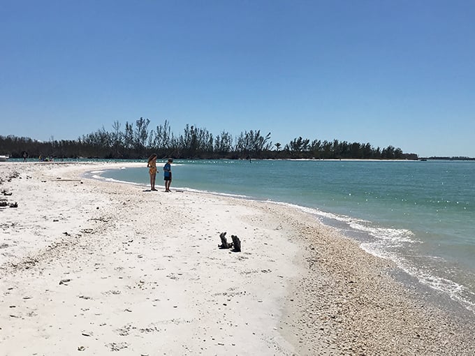 Beach pioneers stake their claim on Keewaydin's shores, where social distancing isn't pandemic protocol—it's just how things have always been.