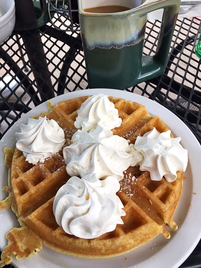 Golden waffle perfection crowned with whipped cream clouds. Breakfast that doubles as modern art and soul satisfaction.