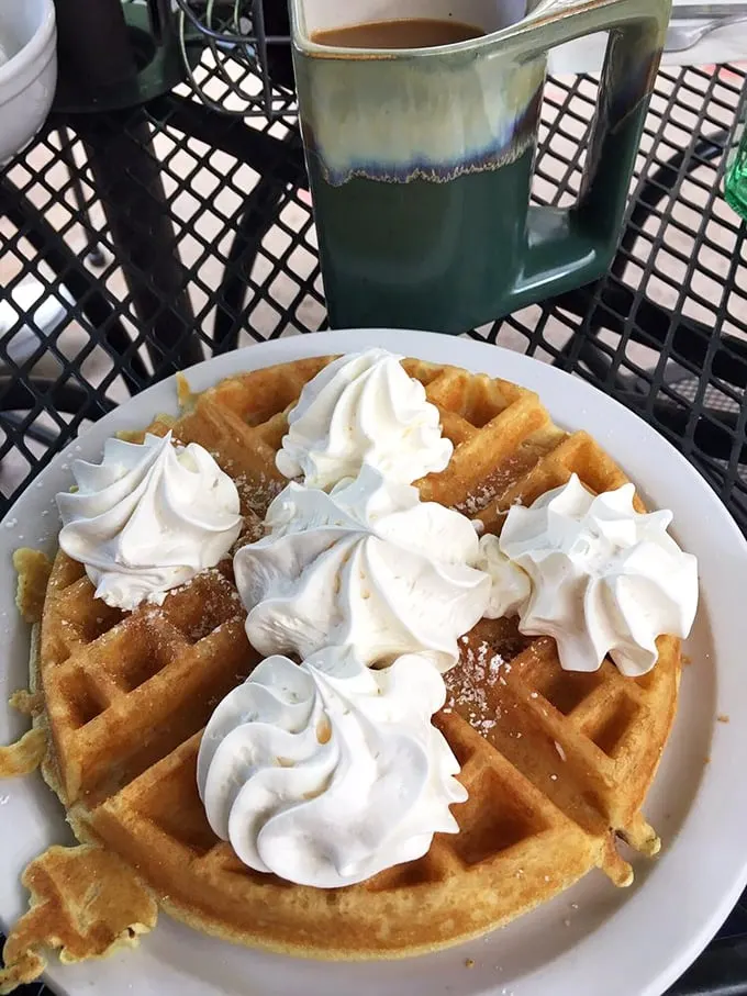 Golden waffle perfection crowned with whipped cream clouds. Breakfast that doubles as modern art and soul satisfaction.