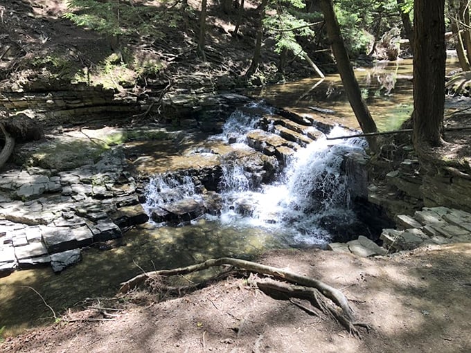 A modest waterfall that doesn't need to show off—it's the natural world's version of comfort food, simple and deeply satisfying.