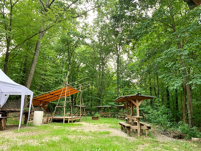 Nature's cathedral awaits at this woodland retreat. Simple wooden structures invite contemplation among towering trees—proof that sometimes the best architecture has no walls.
