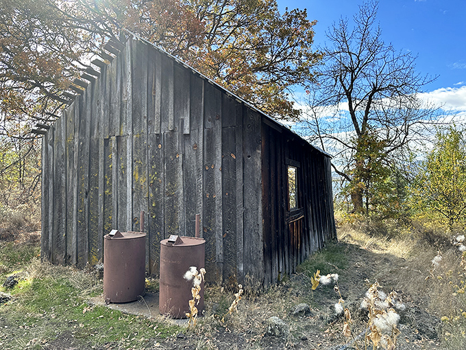 This weathered shed stands as a time capsule from California's frontier days, silently collecting stories as steadily as it collects rust.