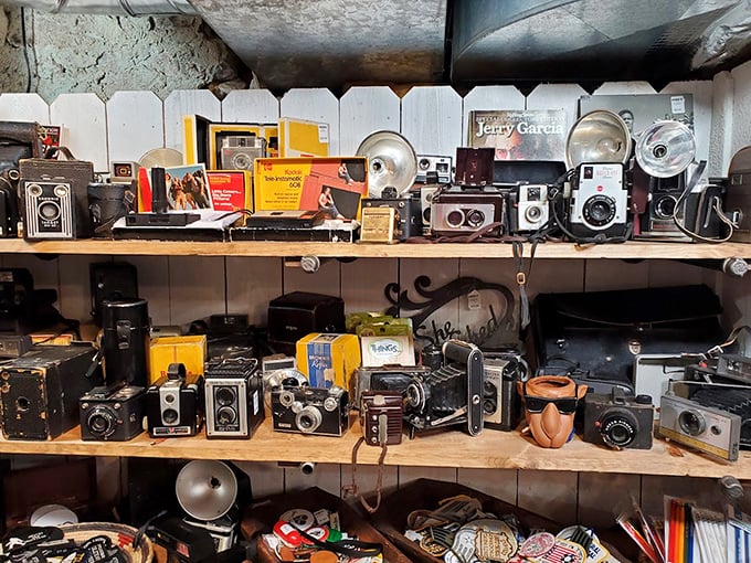 A mechanical time capsule where Kodak moments meet artistic potential. These cameras once captured someone's wedding day, family vacation, or baby's first steps—now they're history you can hold.